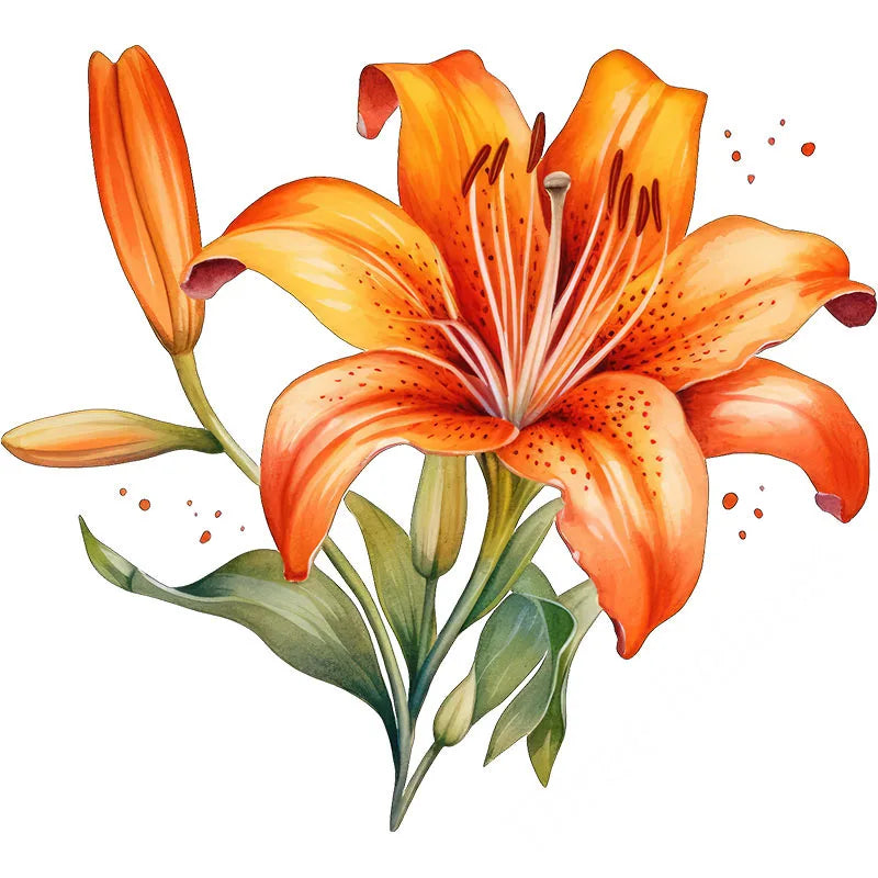 Lily Flower Sticker & Florista Flower